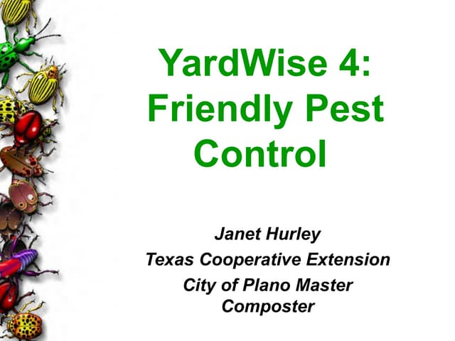 White fly control methods | PPTX