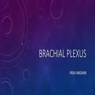 Brachial Plexus Anatomy | PPTX