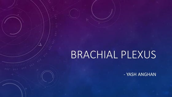 Brachial Plexus Anatomy | PPT