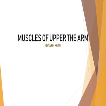 Muscles of the upper arm pptx | PPTX