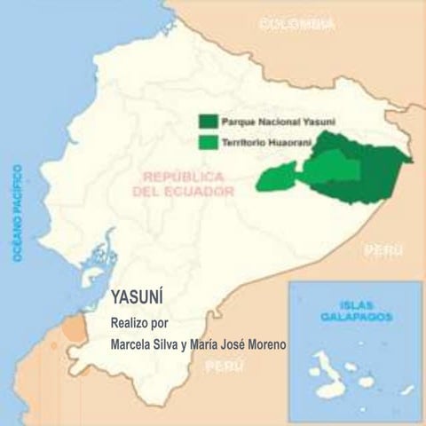 Parque nacional yasuní | DOCX