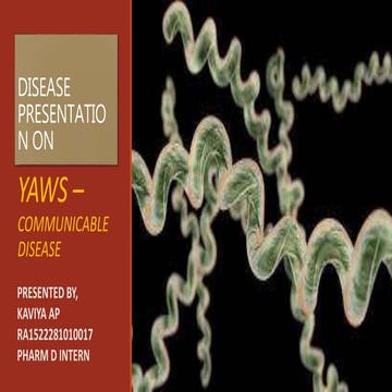 Yaws Disease Presentation | PPT