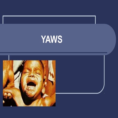 Yaws.pptx | Infectious Diseases | Diseases and Conditions