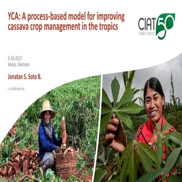 YCA: A process-based model for improving cassava crop management in the tropics | PDF