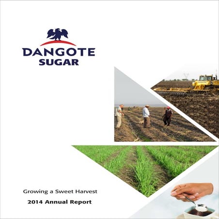 Dangote Sugar Annual Report 2014 | PDF