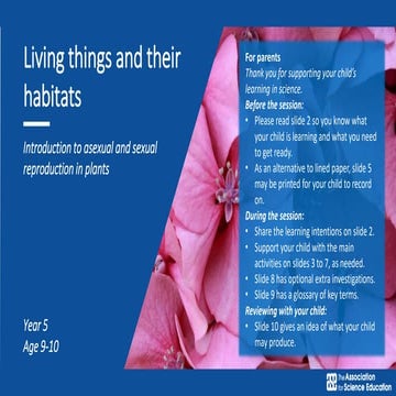 Grade 5 5Rs Science waste management.pptx