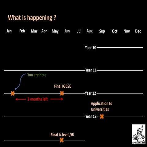 Year 11 and what to do next | PDF