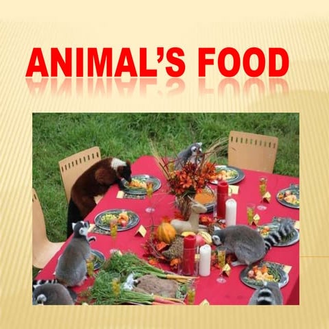 Year 2 animals food | PPT