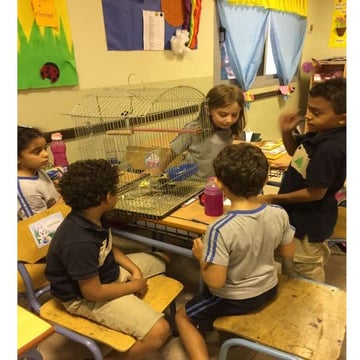 Year 2 pictures | PPTX