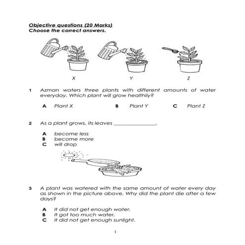 soalan peperiksaan year 2 | PDF