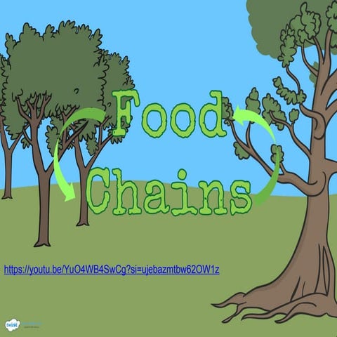 Grade 3 Science: Understanding Food Chains, Consumers, and Predators | PPTX