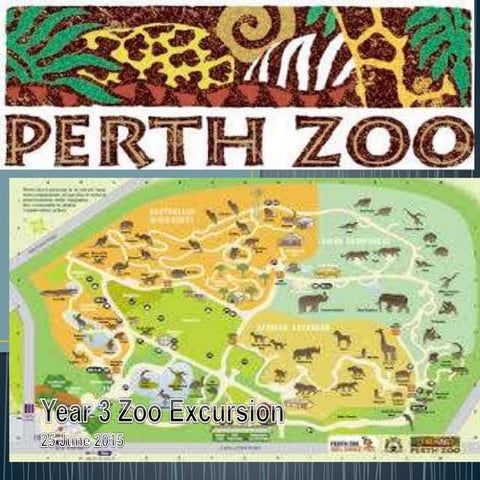 Year 3 zoo excursion | PPTX