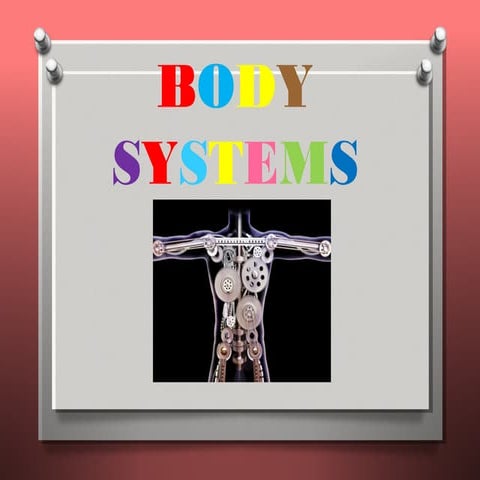 Year 4 body systems | PPT