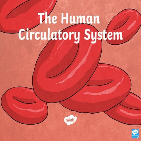 Year 6 Human Body Circulatory System Lesson Teaching Powerpoint.pptx