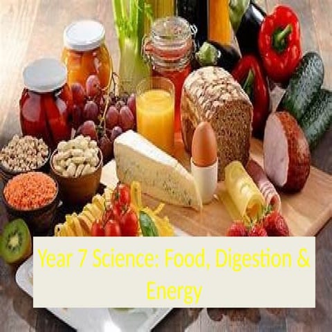 Year_7_Food_Digestion_Energy_UK_Science.pptx
