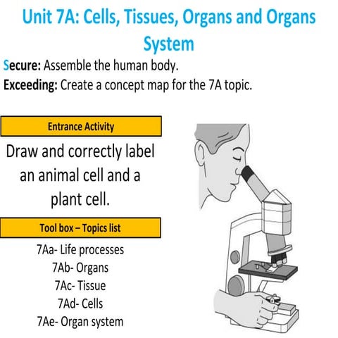 Year 7 Science Revision Pack C1.pptx