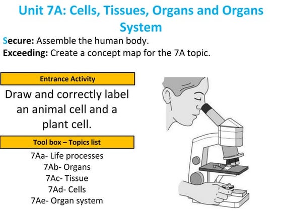 ClassPoint Draggable Objects Examples in PowerPoint | PPTX