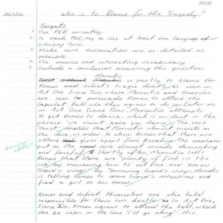 Year 8 blame essay Sara | PDF