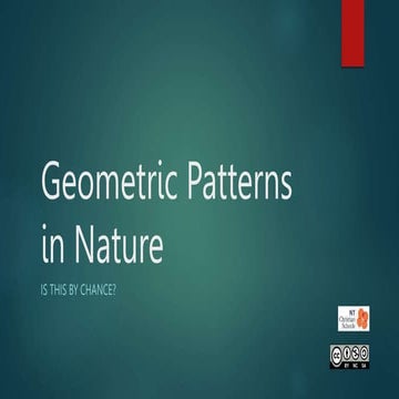 Year 9 Geometric patterns in nature.pptx
