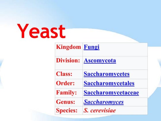 Life cycle of yeast | PPTX | Biological Sciences | Science