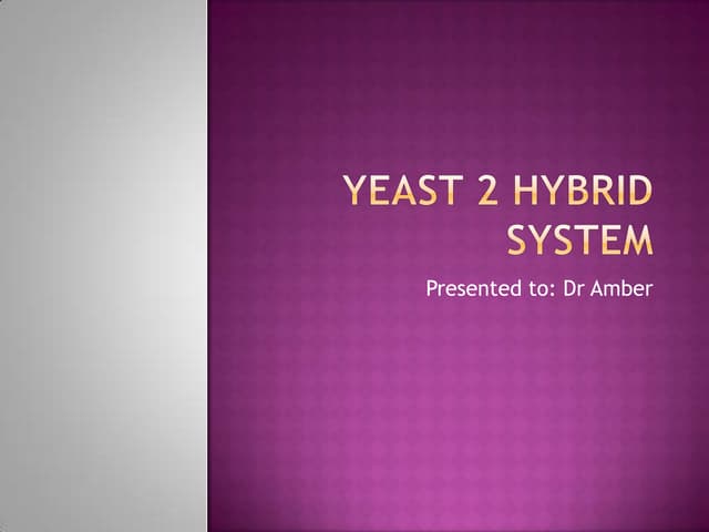 YEAST TWO HYBRID SYSTEM | PPTX