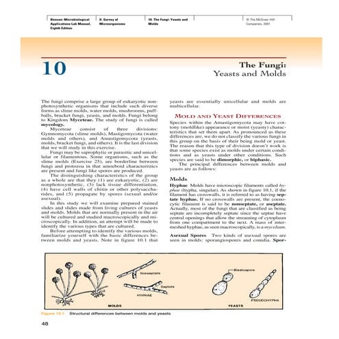 Mold and yeast ppt | PPTX