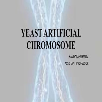 Yeast Artificial Chromosomepptx