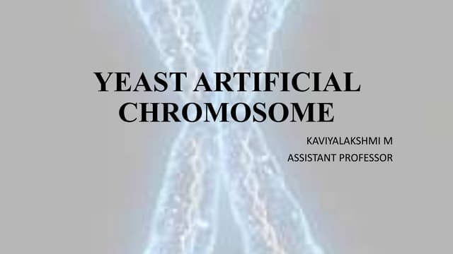 Yeast Artificial Chromosomepptx