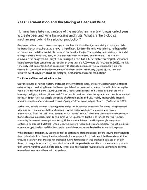 Historical Development of Fermentation | PPTX | Chemistry | Science