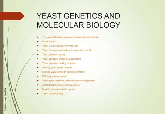 Genetic analysis of yeast | PPT | Biological Sciences | Science