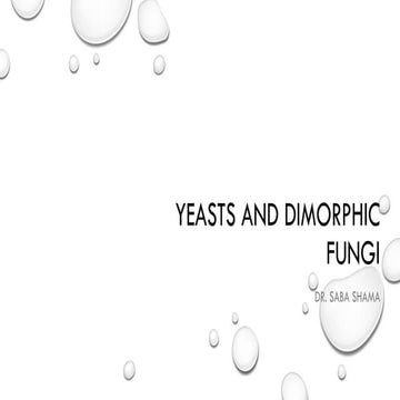 YEASTS AND DIMORPHIC FUNGI powerpoint ppt | PPT
