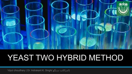 Yeast Two-Hybrid | PPT
