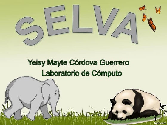 Yeisy Mayte Cordova Guerrero presentations