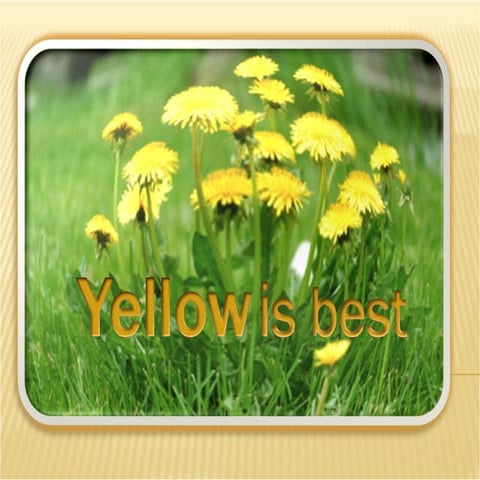 Yellow | PPT