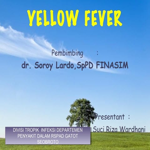 Yellow fever | PPT