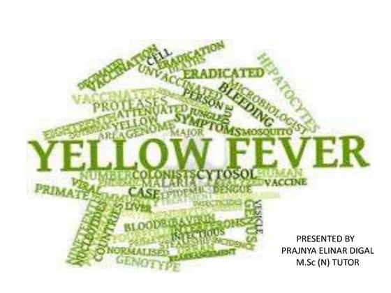 yellow fever.pptx