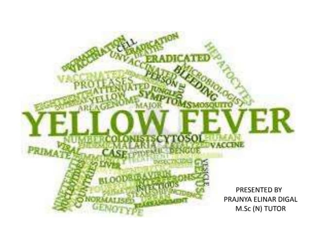 Yellow fever | PPTX