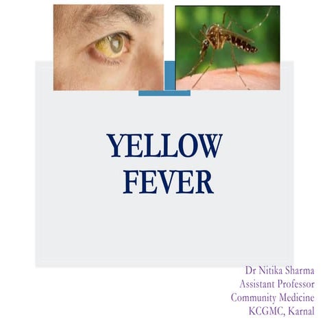Yellow fever.pptx