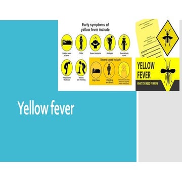 Yellow fever | PPTX