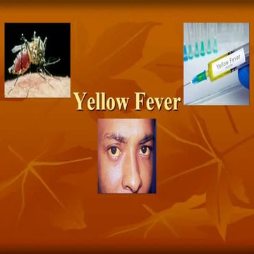 yellow fever presentation.............pptx