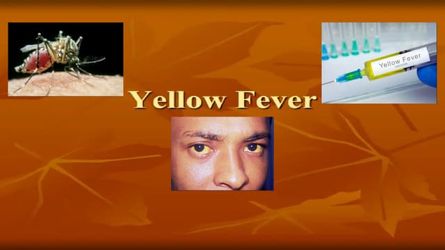 Yellow fever | PPTX