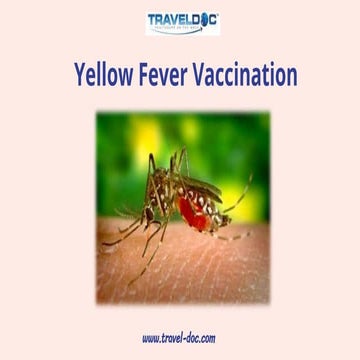 Yellow fever vaccinations | PPTX