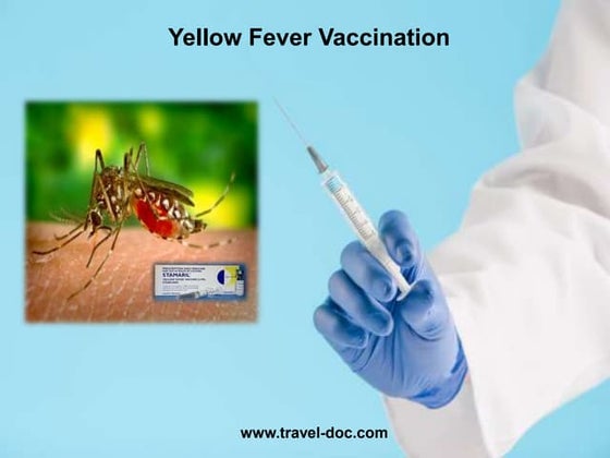 Yellow fever vaccination | PPTX