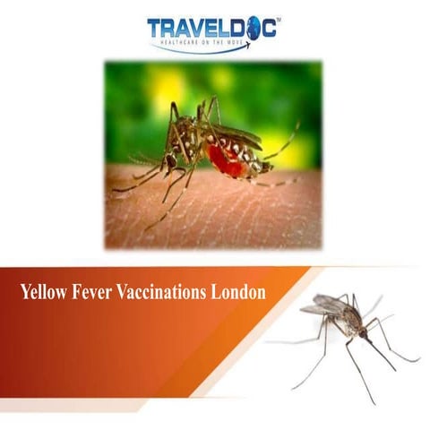 Yellow fever vaccinations | PPTX