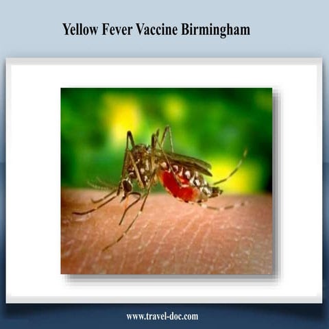 Yellow Fever Vaccine | PPTX