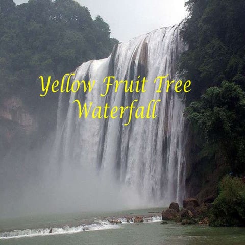 Yellow fruit tree waterfall | PPSX