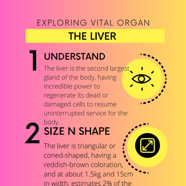 ''The Liver'' Exploring the Vital Organ, A Comprehensive Guide to the ...