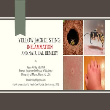 Yellow jacket sting: Inflammation and natural remedy | PDF