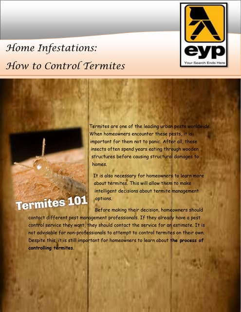 Termite proofing materials | PPT