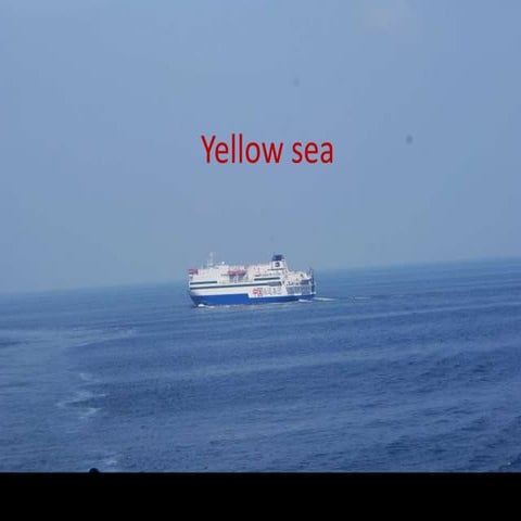 Yellow sea | PPSX